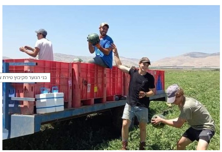 Amal Schools Lead the Way in Educating Students on Workers’ Rights - global.amalnet